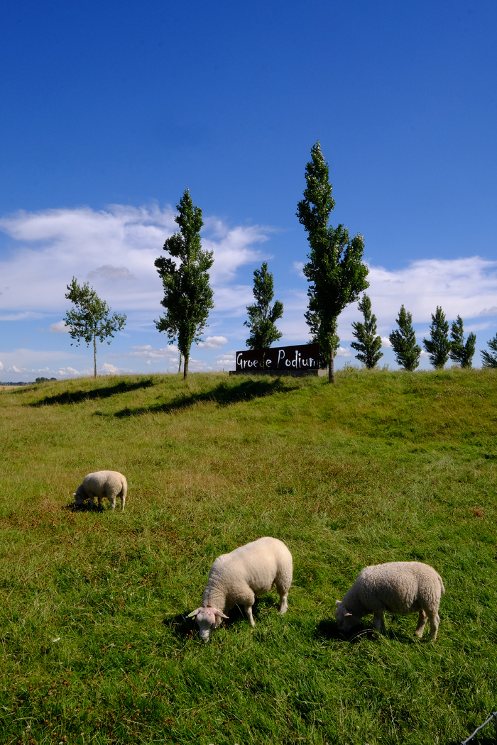 Plattegrond | Groede Podium